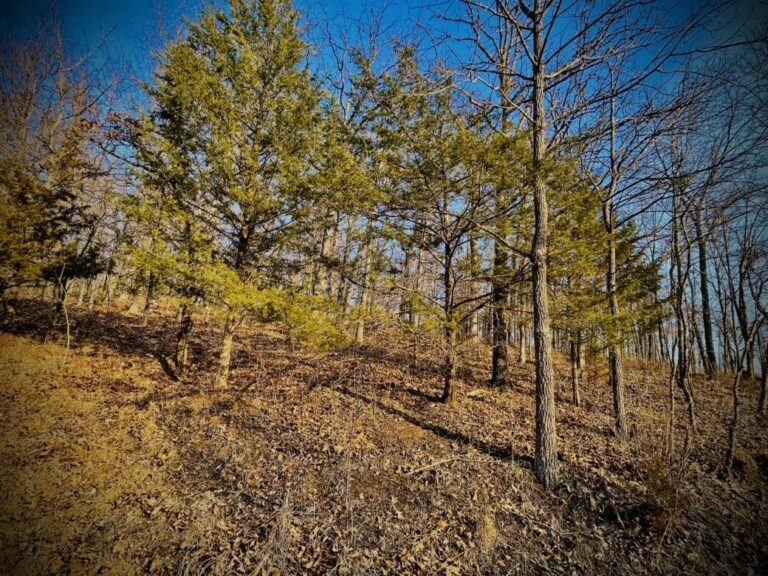 Generation Family Properties Listings