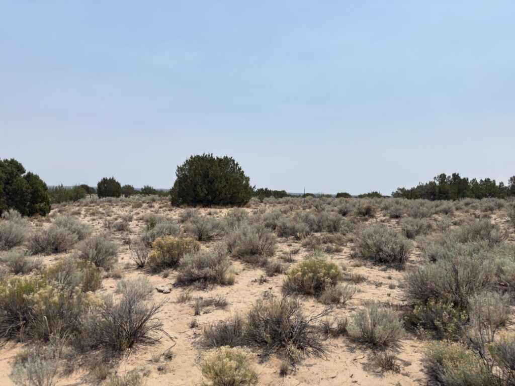 Generation Family Properties Turn this 12.89-Acre Red Sky Ranch Into ...